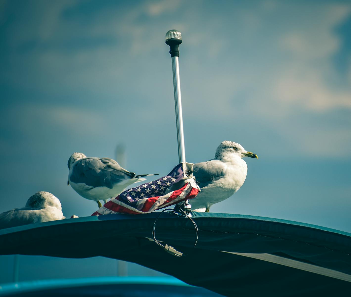 The Best Places to Photograph Birds in the U.S. - bird-life.com