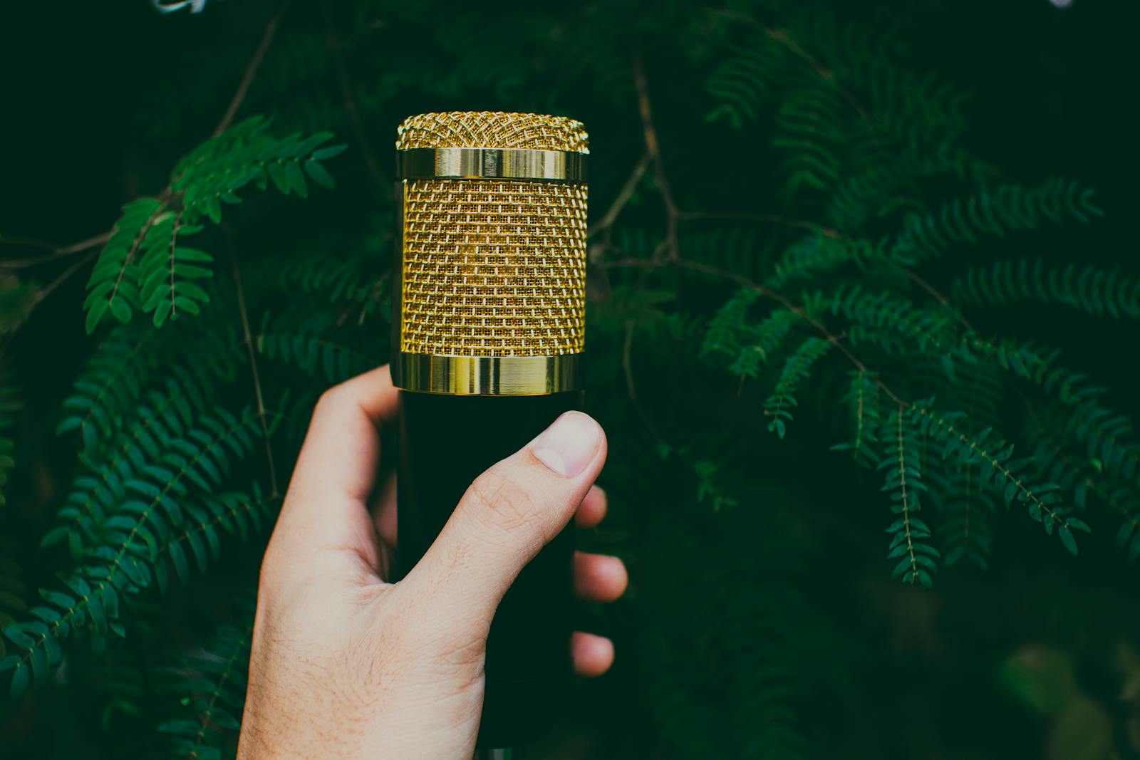 Why Birdwatchers Are Turning to Sound Recorders - bird-life.com