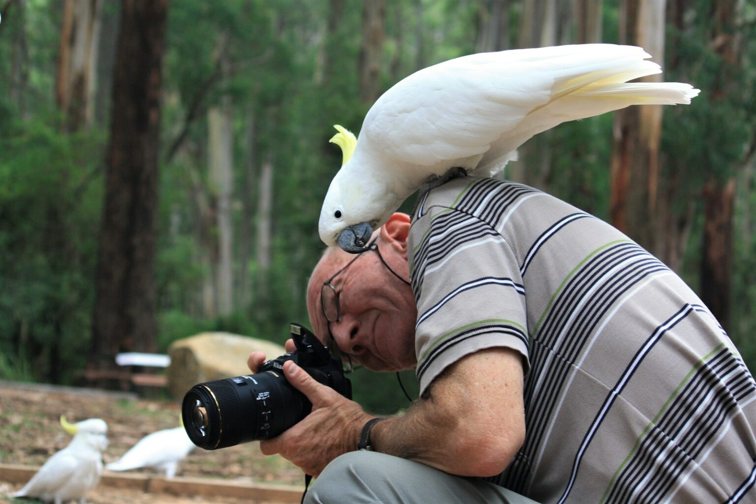 How Do Birds Recognize Their Own Species? - bird-life.com