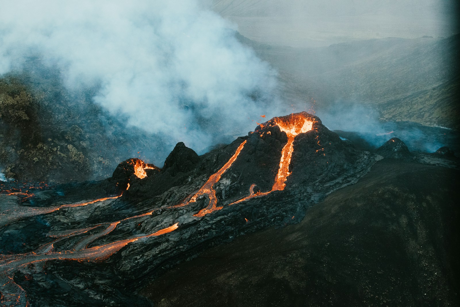 How Some Birds Survive in Volcano Zones - bird-life.com