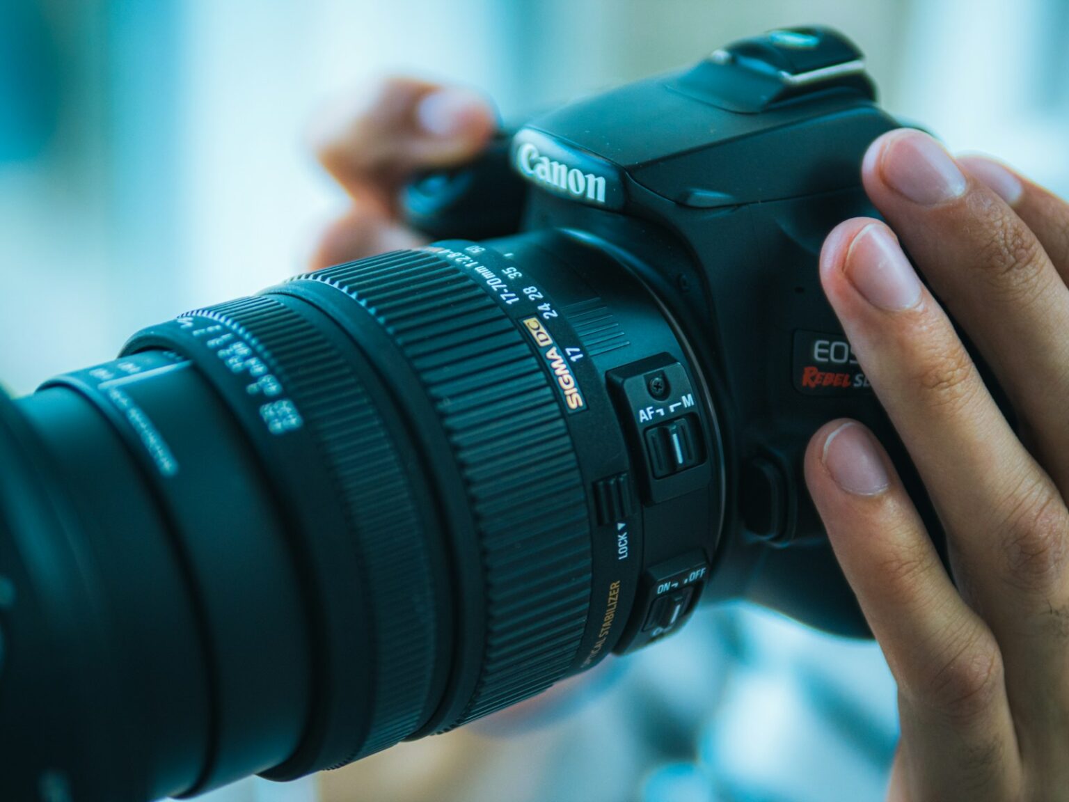 The Best Camera Settings for Bird Photography - bird-life.com