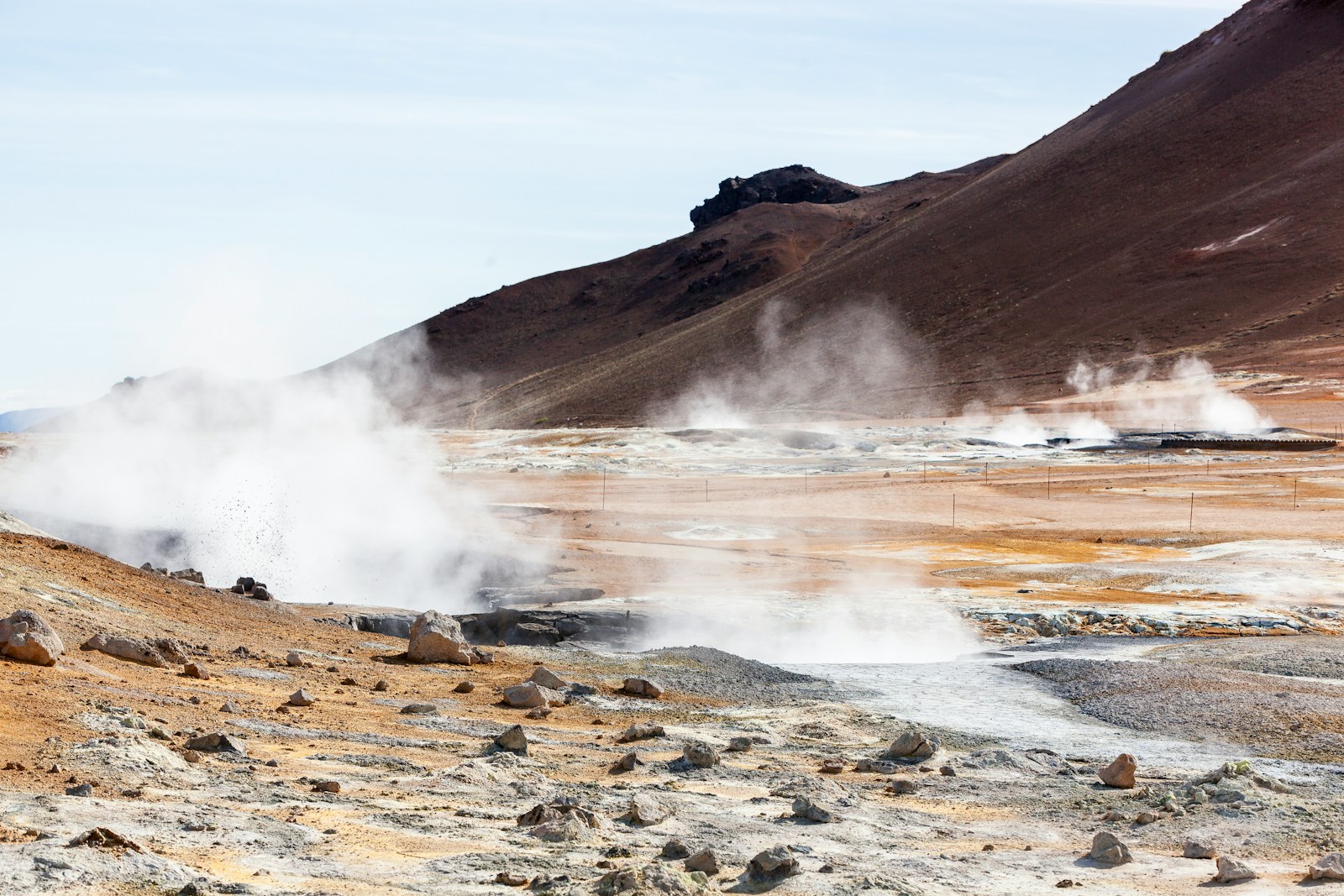 How Some Birds Survive in Volcano Zones - bird-life.com