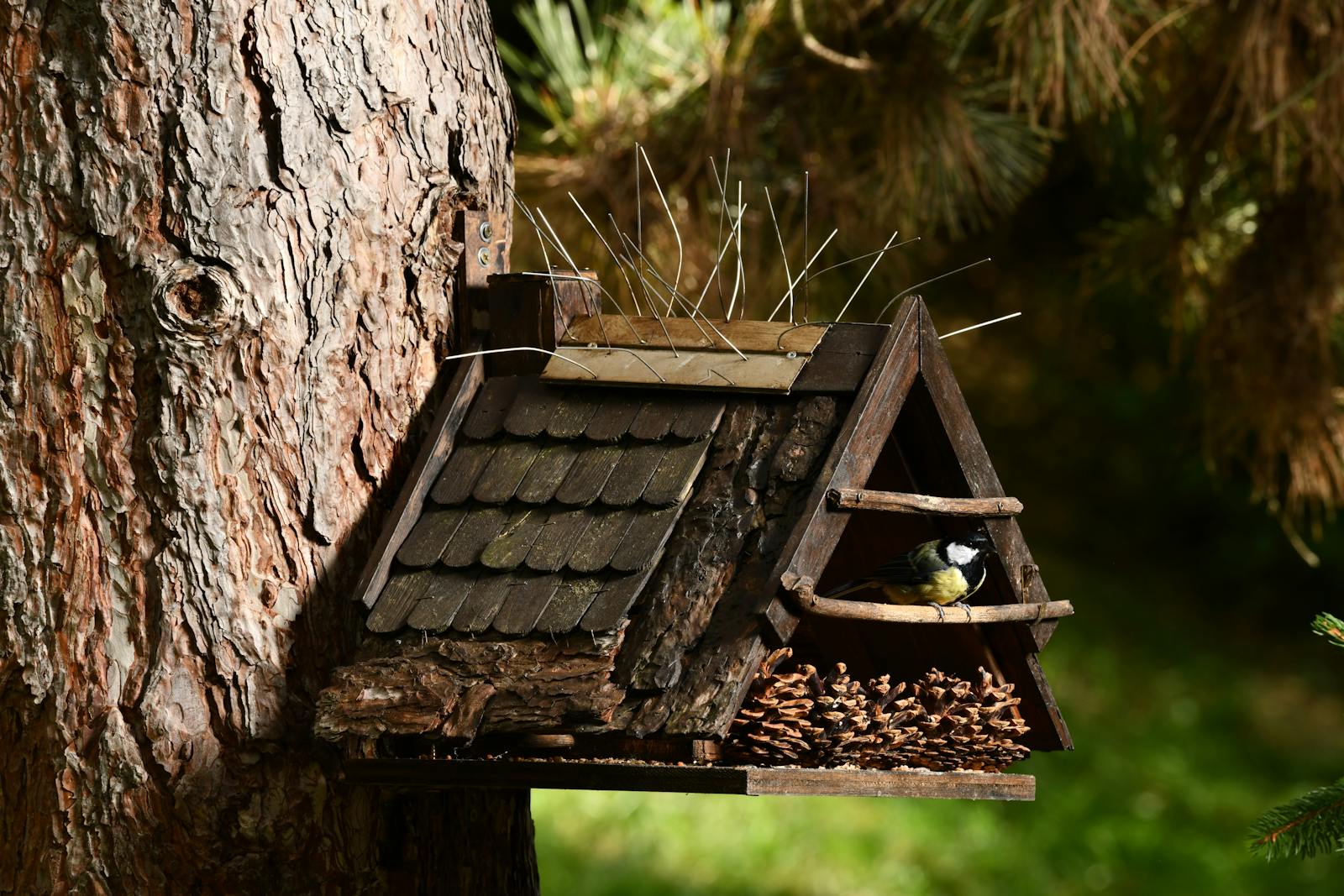 The Best Natural Materials for DIY Birdhouses - bird-life.com