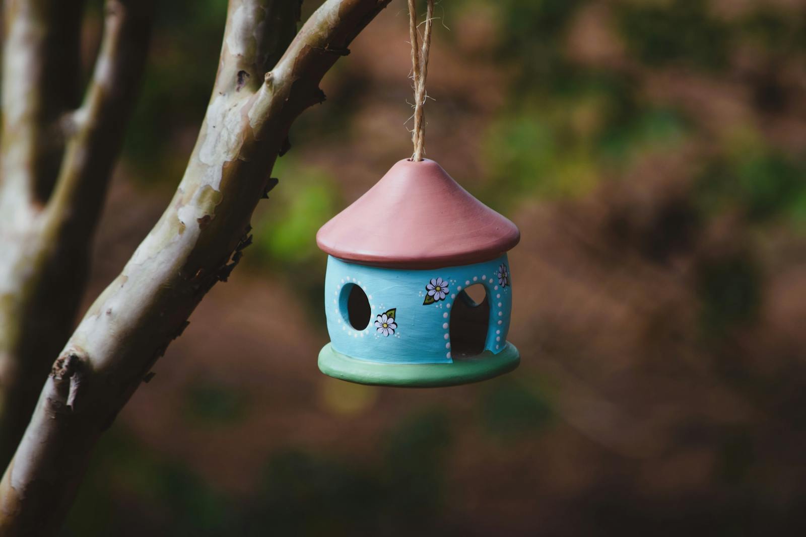 The Best Natural Materials for DIY Birdhouses - bird-life.com