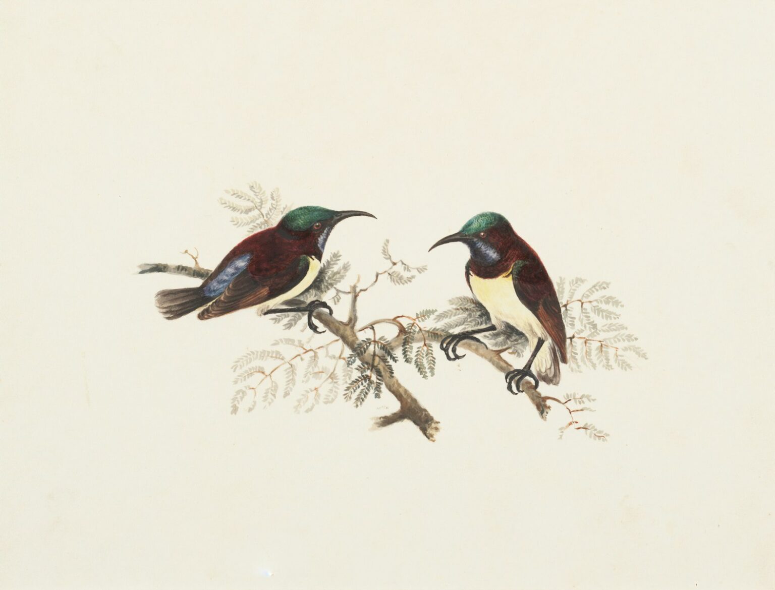 How to Use a Bird Journal to Improve Your Birding Skills - bird-life.com