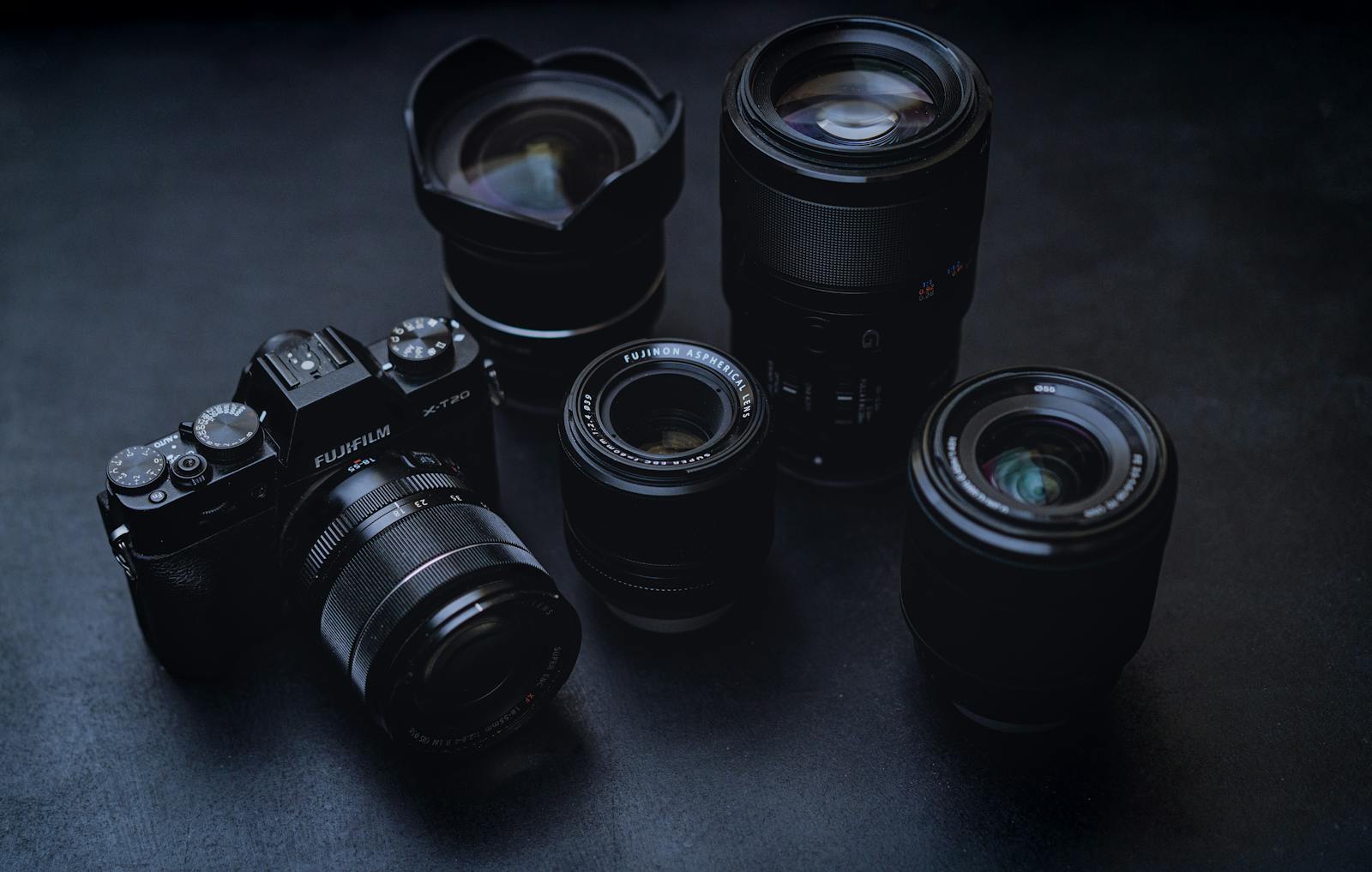 The Best Budget Cameras for Aspiring Bird Photographers - bird-life.com