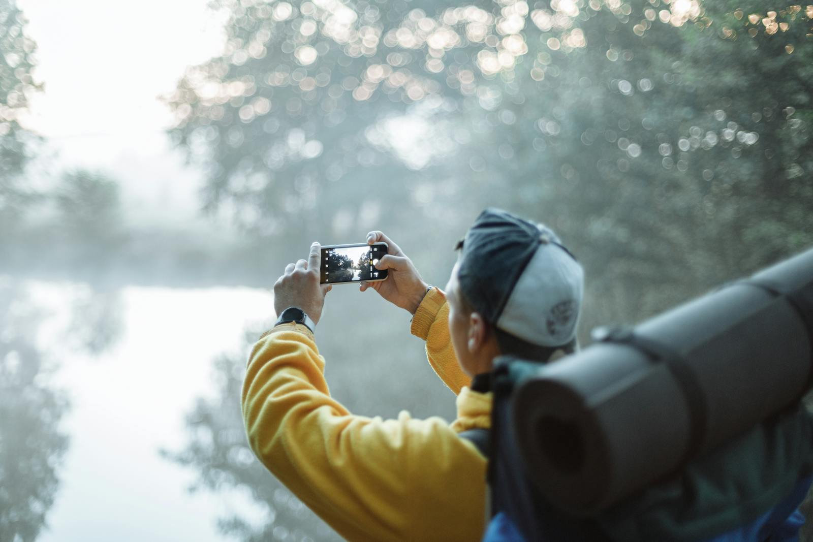 How to Photograph Birds in Flight With a Smartphone - bird-life.com