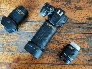 The Best Budget Cameras for Aspiring Bird Photographers - bird-life.com