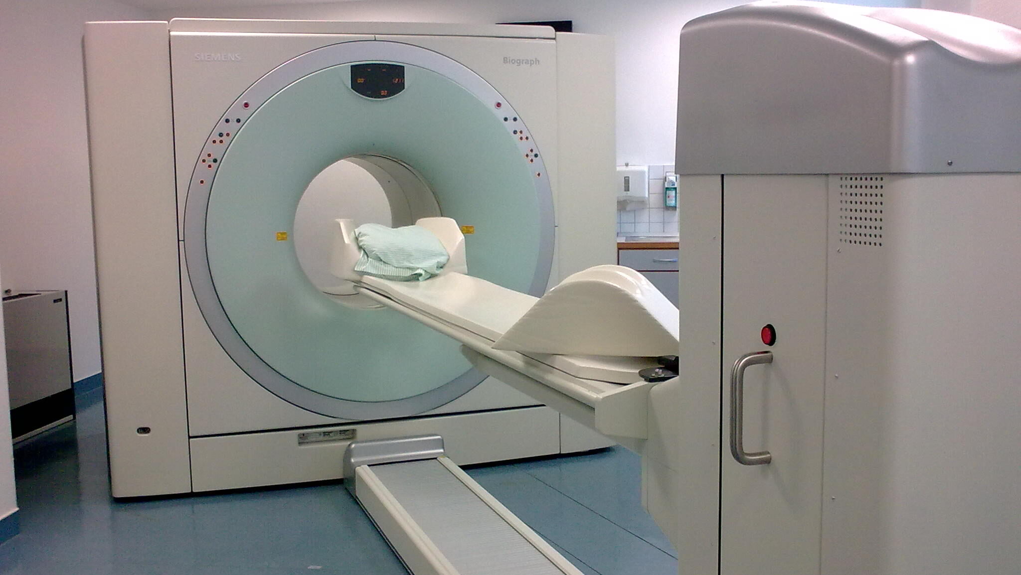 How Some Birds Sleep While Flying - bird-life.com