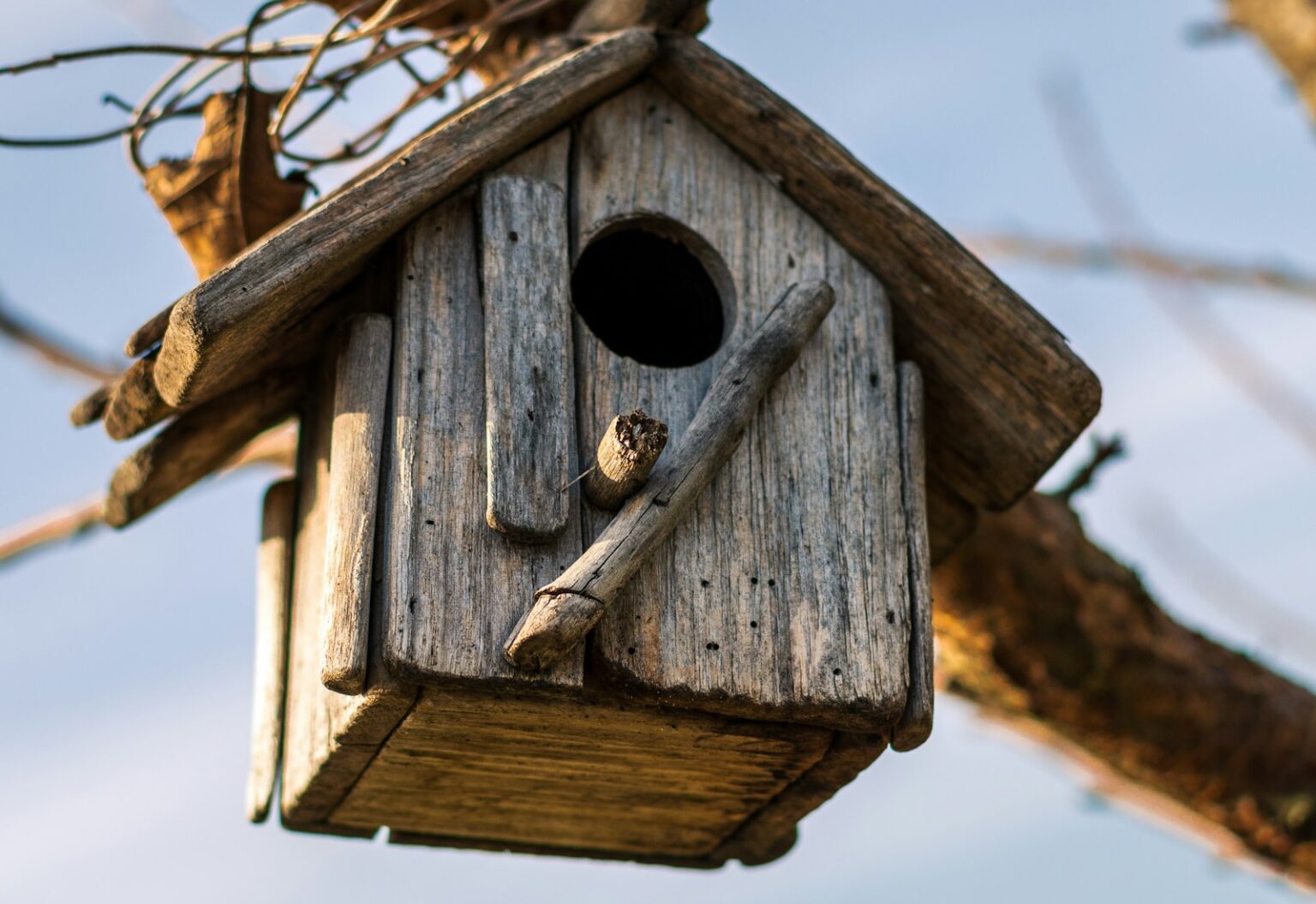 How to Make a DIY Bird Shelter for Harsh Weather - bird-life.com