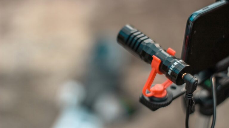 How to Record Bird Sounds From Your Garden - bird-life.com