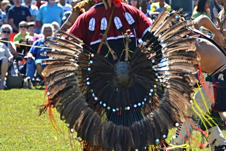 Feathers and Faith: Birds in Indigenous Spiritual Traditions - bird ...