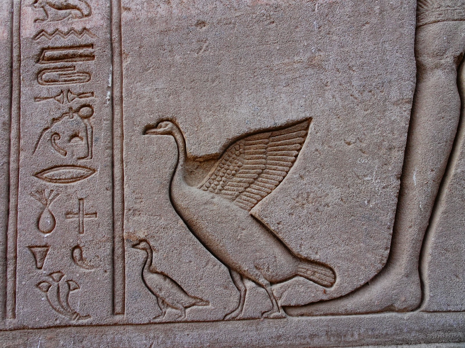 Birds in Ancient Art: From Cave Walls to Royal Tapestries - bird-life.com