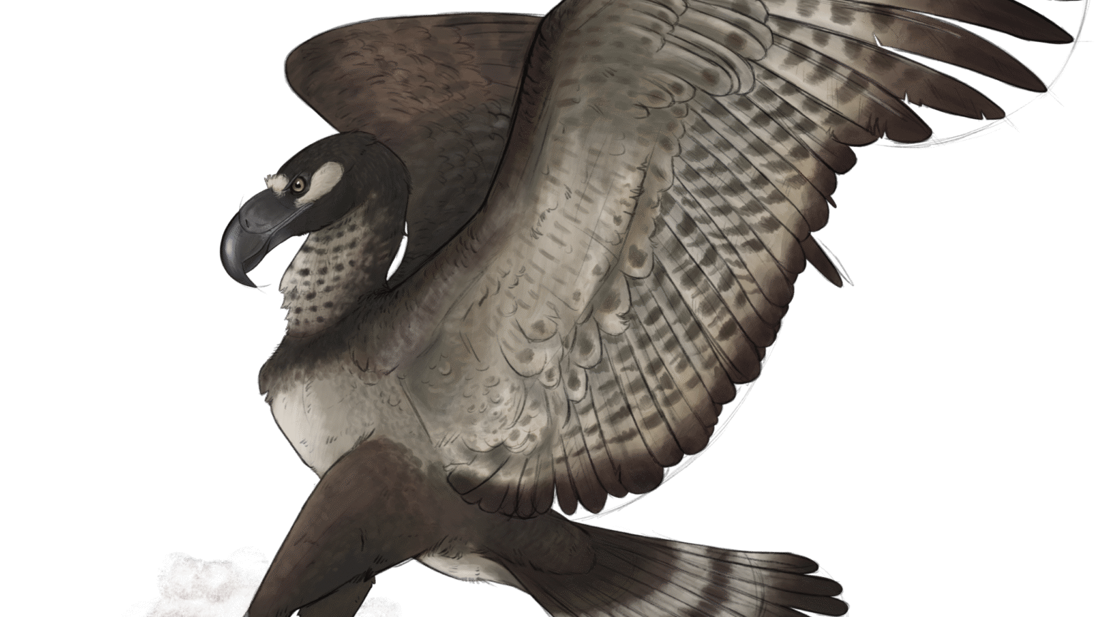 Feathered Predators That Once Roamed With Mammoths - bird-life.com
