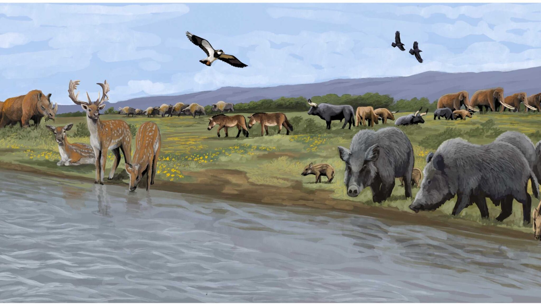 Winged Giants of the Ice Age — Where They Ruled and Why - bird-life.com