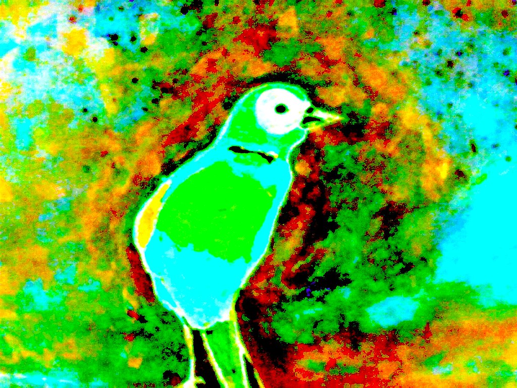8 Famous Paintings That Secretly Feature Birds - bird-life.com