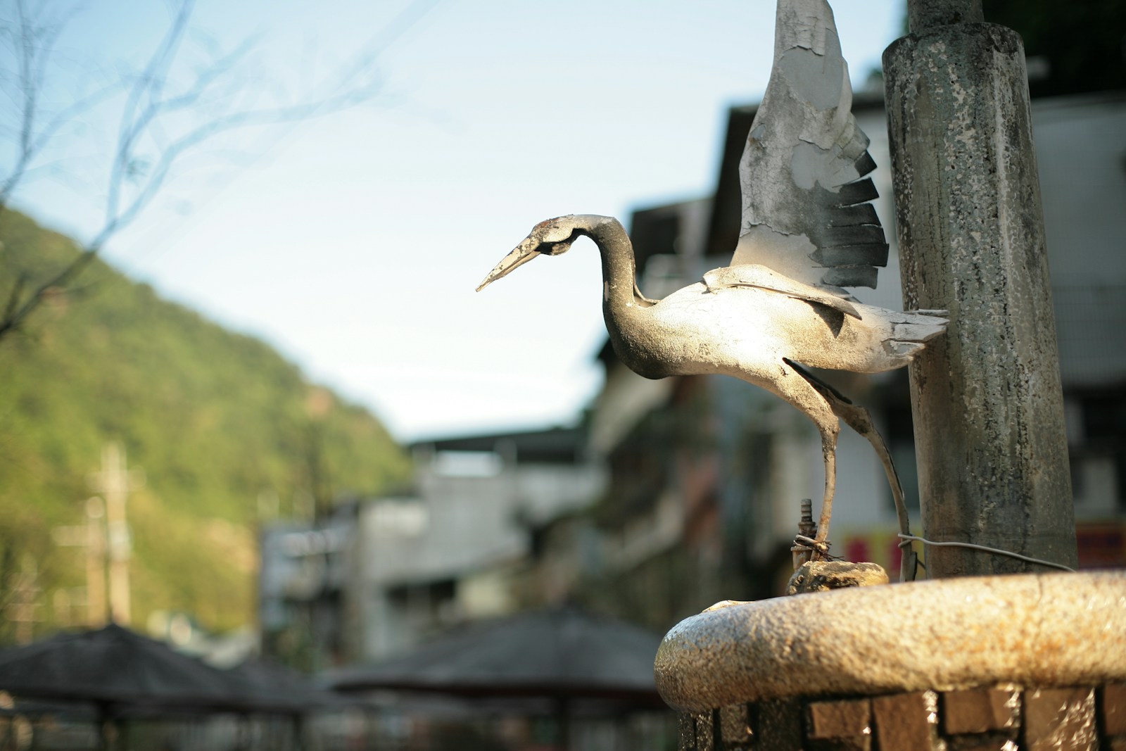 How Cranes Became Sacred in Japanese Culture - bird-life.com