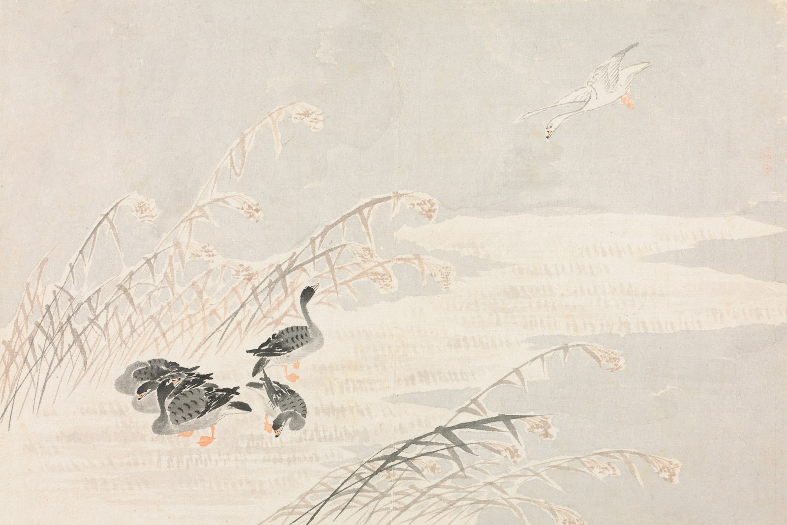How Cranes Became Sacred in Japanese Culture - bird-life.com